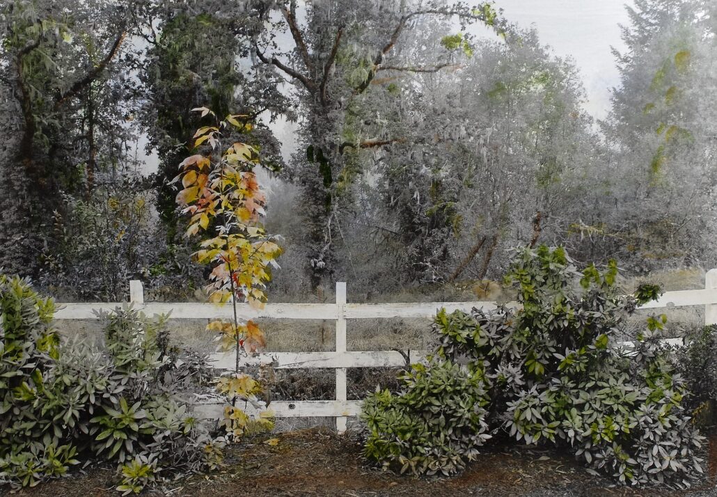 Seeing the West with new eyes • Bob Keefer Photography